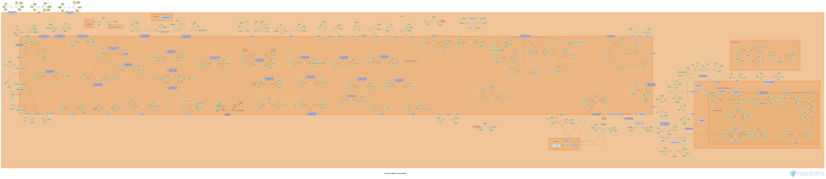 Reactome | CYP26C1缺陷导致FFDD4